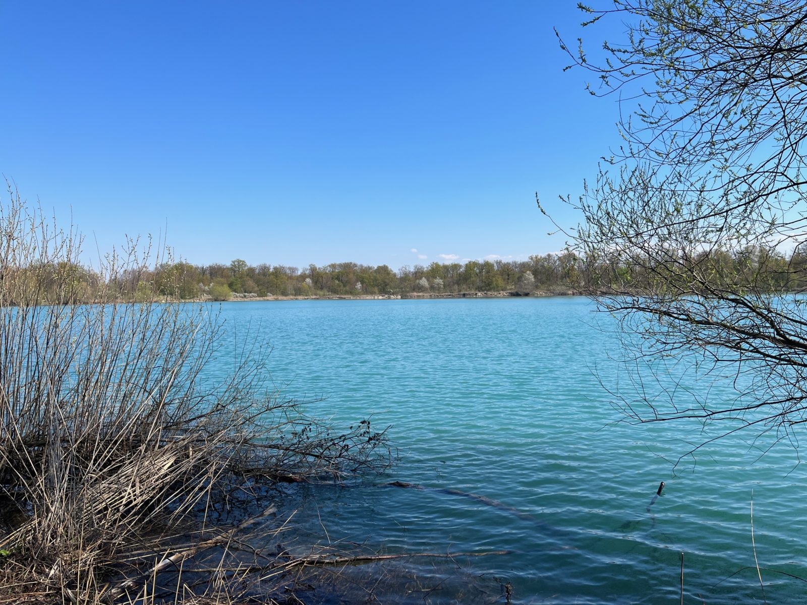Projet photo-voltaïque du Pays Rhénan - Vent d'Est